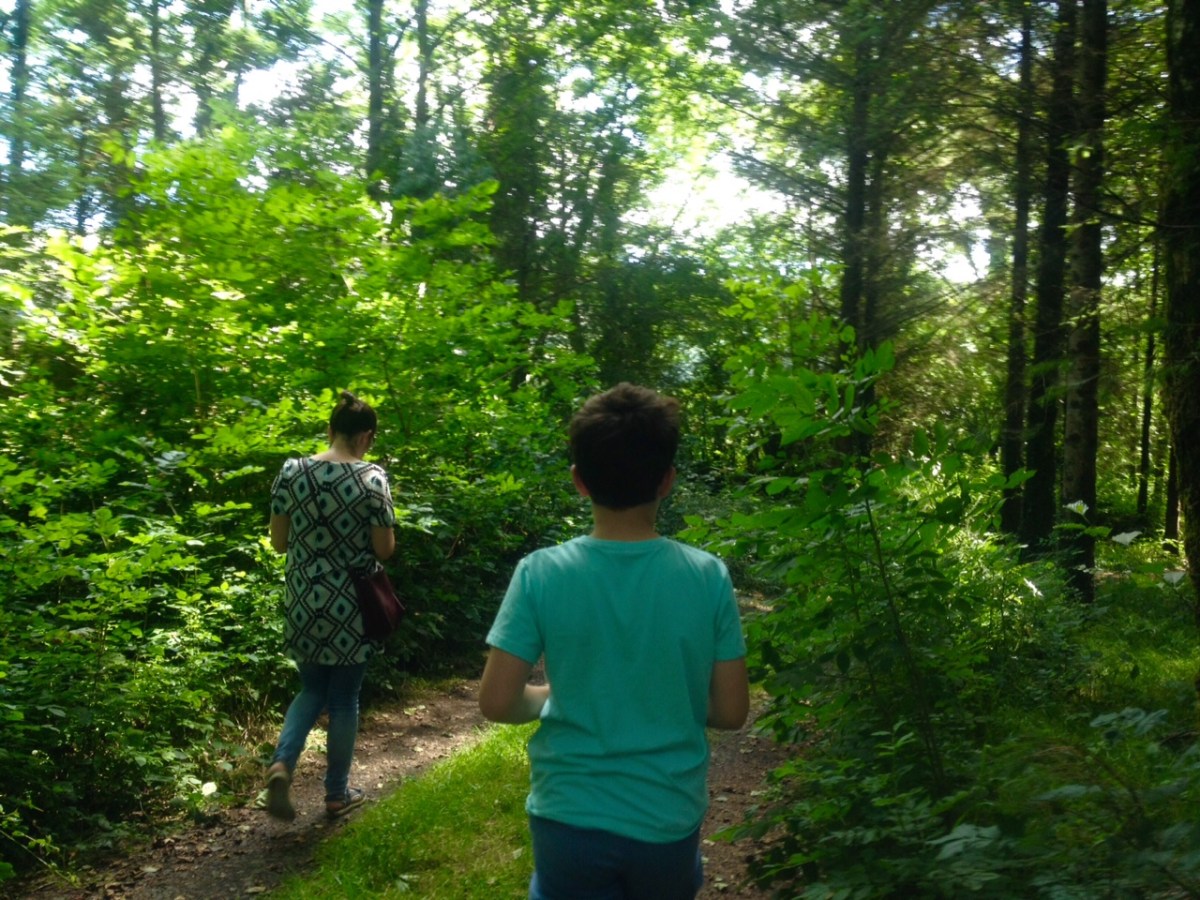 Good-Bye Anthropocene – Hello Symbiocene! – The Hollywood Forest Story ...