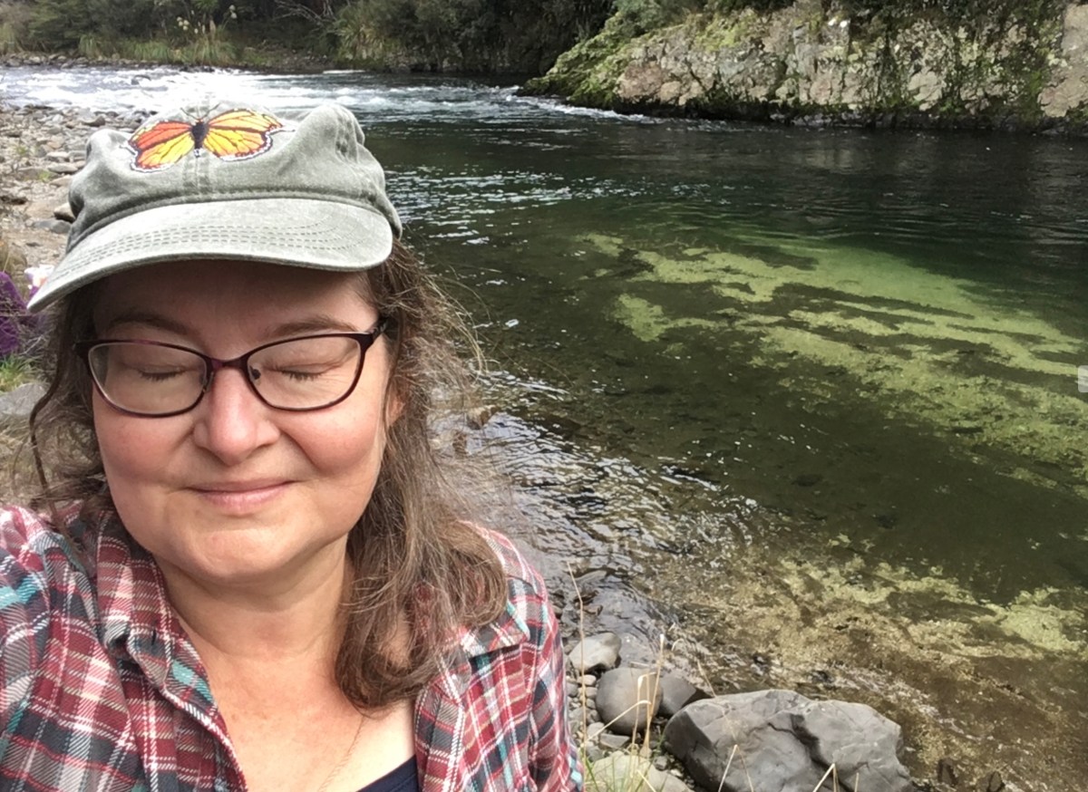 Stories for a Wiser Forestry – arguing for the “right forestry practice ...