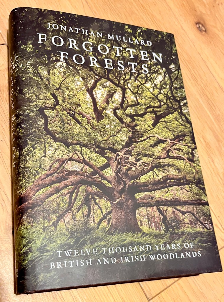 ‘Remembering Our Forgotten Forests: Twelve thousand years of British ...